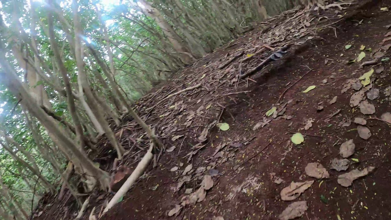 ohana trail kailua rengade junction down - YouTube