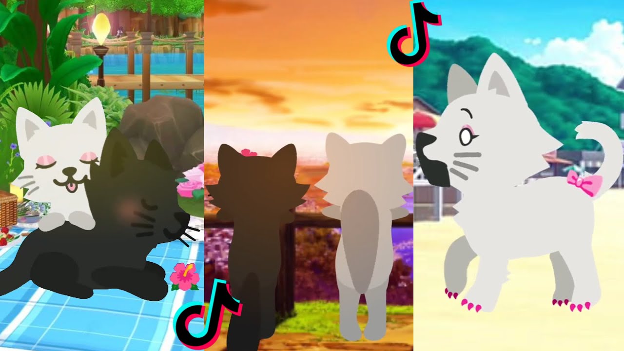 Best EMOJI CAT TikToks Compilation 😻 #21 - YouTube