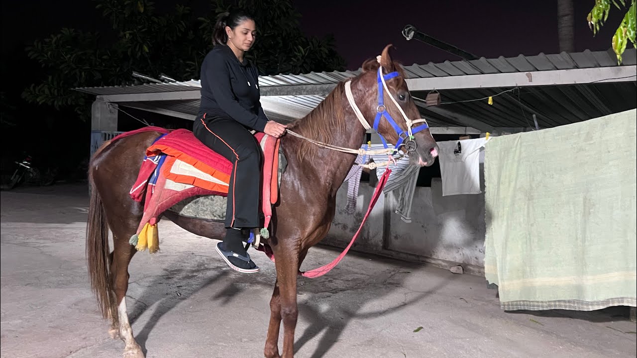 Delivery ke baad horse riding toral ke saath kab hoga - YouTube