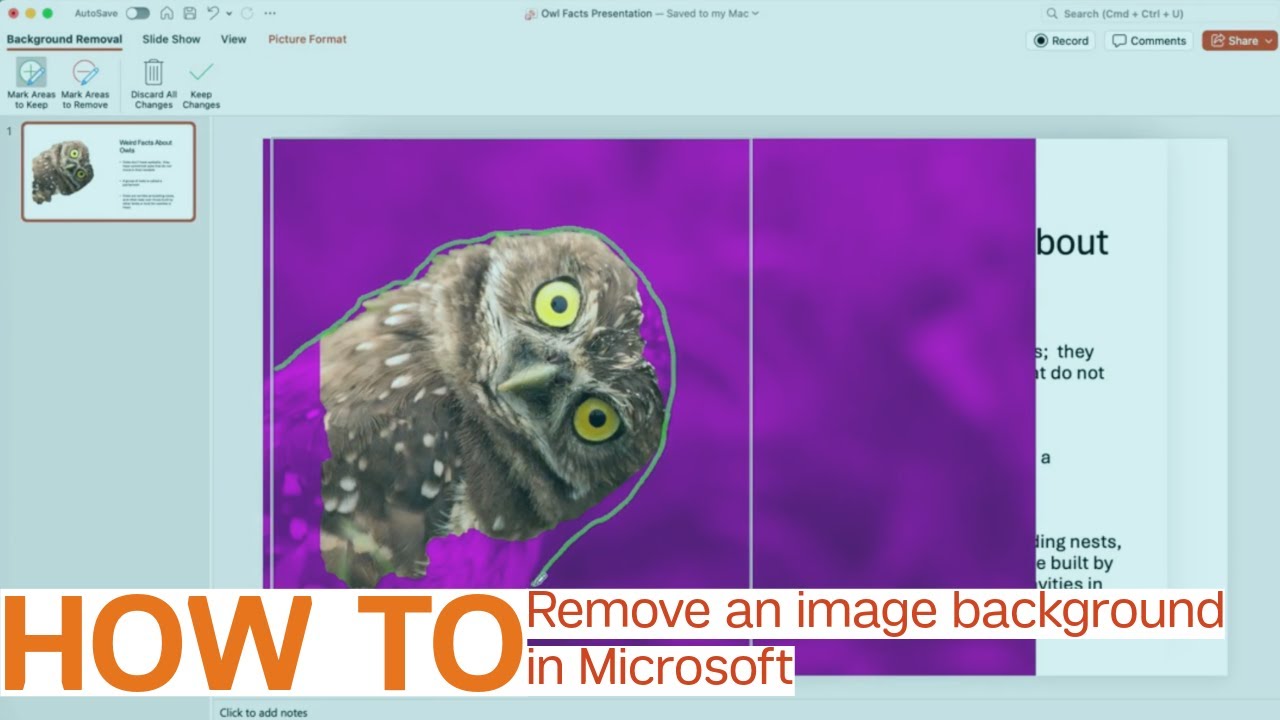 TipUp: Remove an Image Background in Microsoft - YouTube