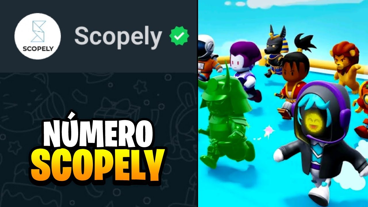 VAZOU!! REVELEI O NÚMERO DA SCOPELY (DONA DO STUMBLE GUYS) PARA MANDAR MENSAGEM!! - YouTube