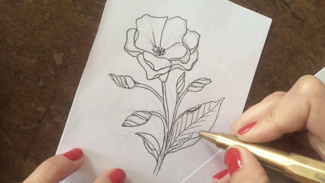 Illustration of Lisianthus - YouTube