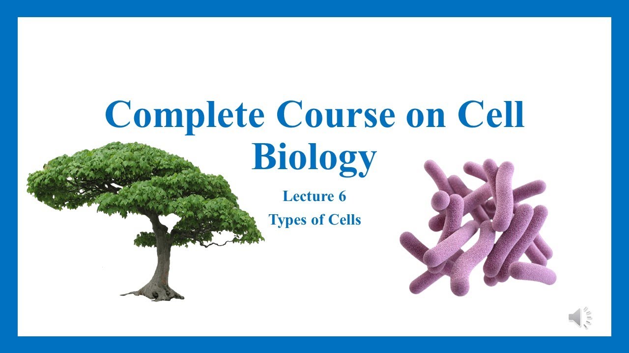 Types of Cells - YouTube