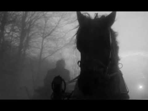 Friedrich Nietzsche went mad after seeing a horse being whipped in the ...