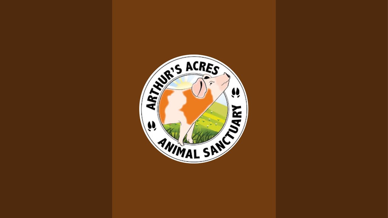 Arthurs Acres Animal Sanctuary is live! - YouTube