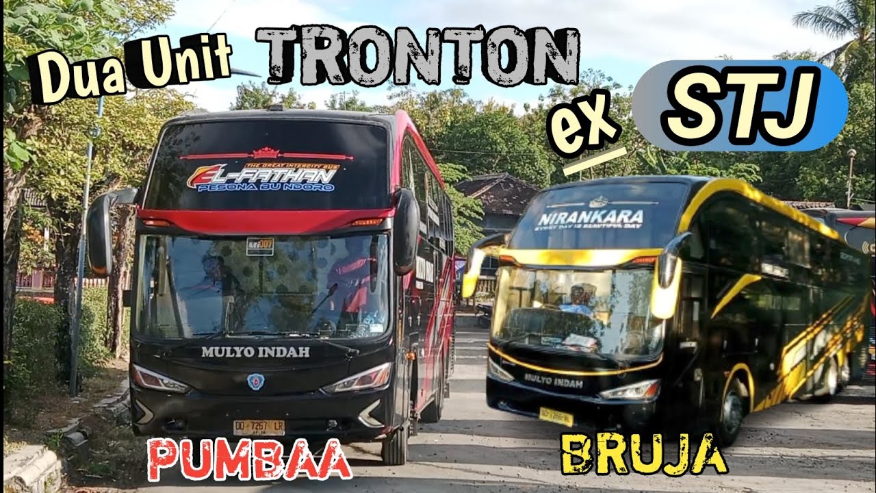 Dua Unit Tronton MULYO INDAH ex STJ Pumbaa & Bruja 🔥 - YouTube