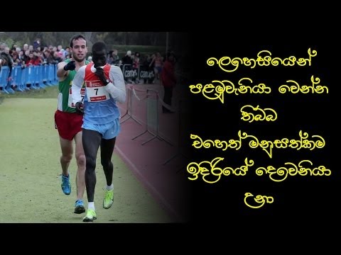 මනුසත්කම ඉදිරියේ දෙවෙනියා වීම - Honesty Of The Long distance Runner ...