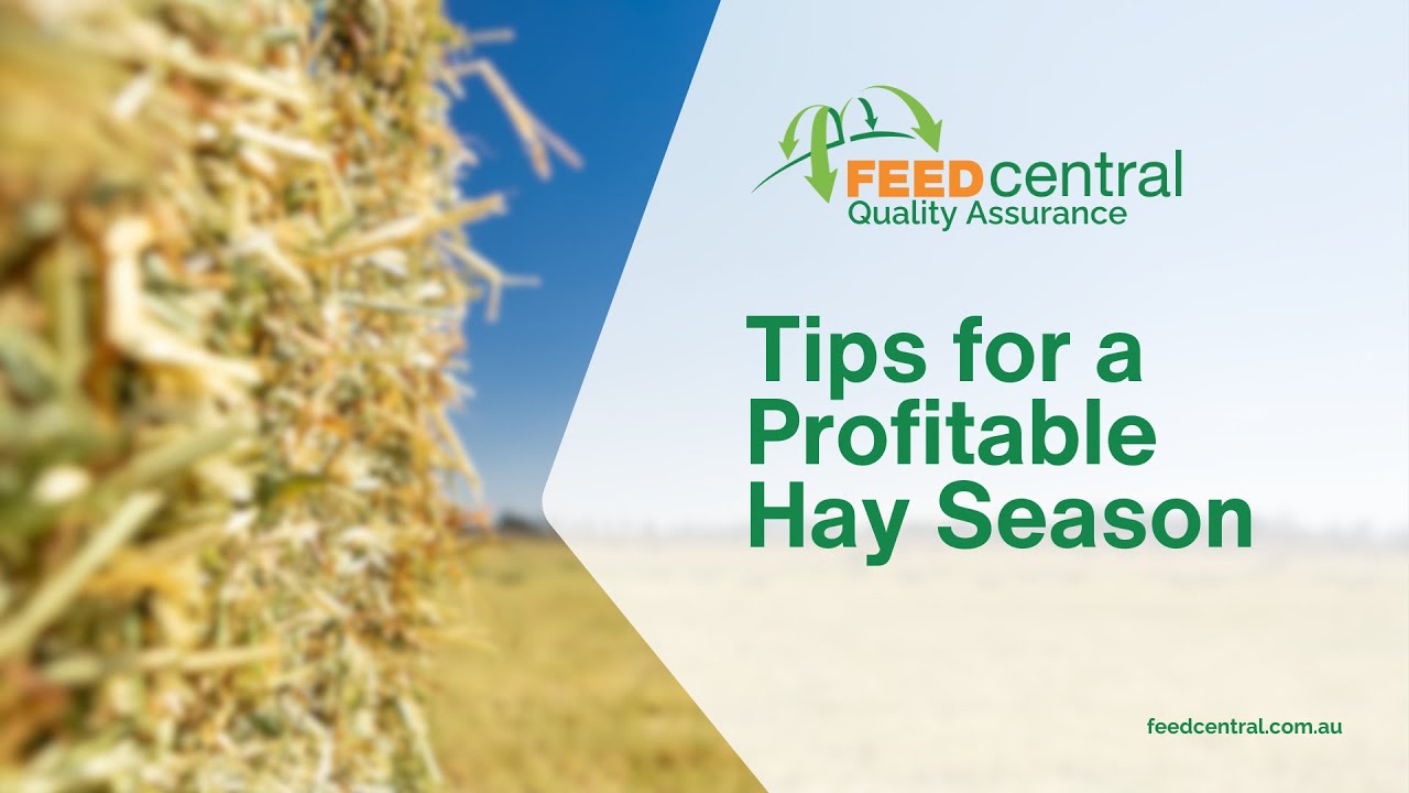 Tips for a Profitable Hay Season - YouTube