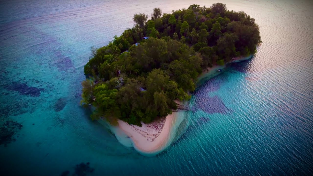 AMAZING DIVING AT LISSENUNG ISLAND, KAVIENG, PAPUA NEW GUINEA IN 4K ...