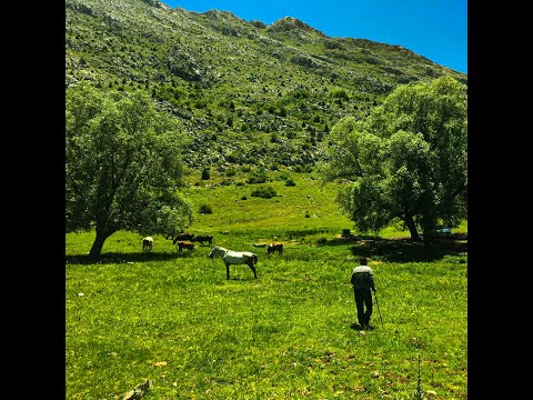İsimsiz Dağların Tanrısı | Muhammed Âkif