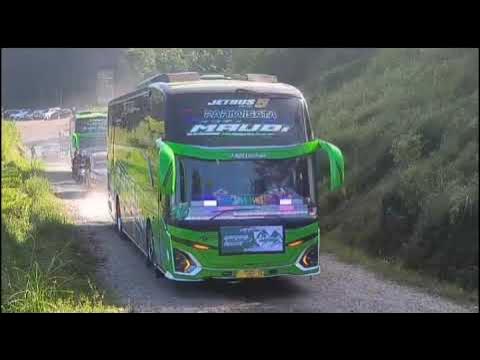 Trip wayang windu 2024 meriah full bus artis basuri dan TCI#wayangwindu#busartis#fullbasuri ...