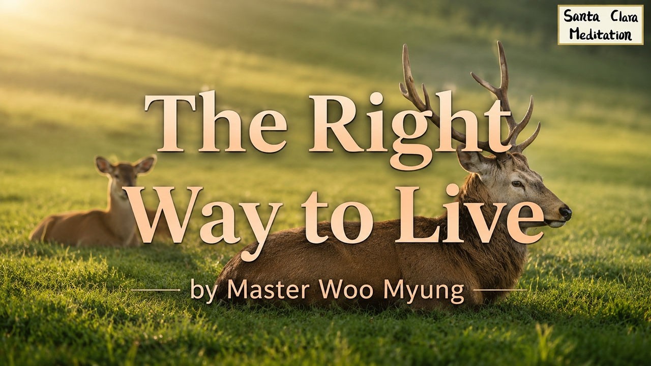 🌿 The Right Way to Live: Unlearn the Mind, Live in Truth | Master Woo ...