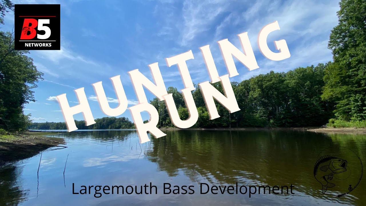 Hunting Run Reservoir (VA): F1 BASS Hybrid Stocking & Growth - YouTube