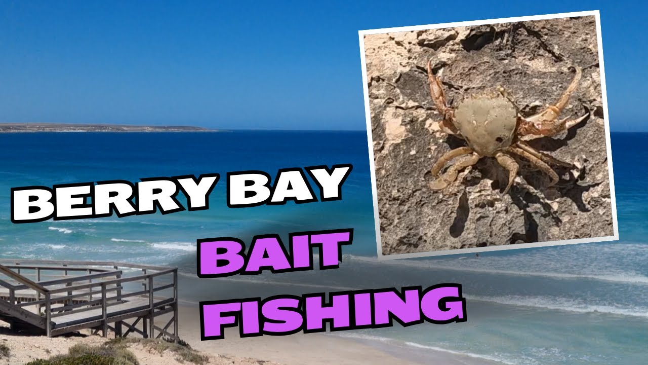 Bait Fishing Berry Bay South Australia - YouTube