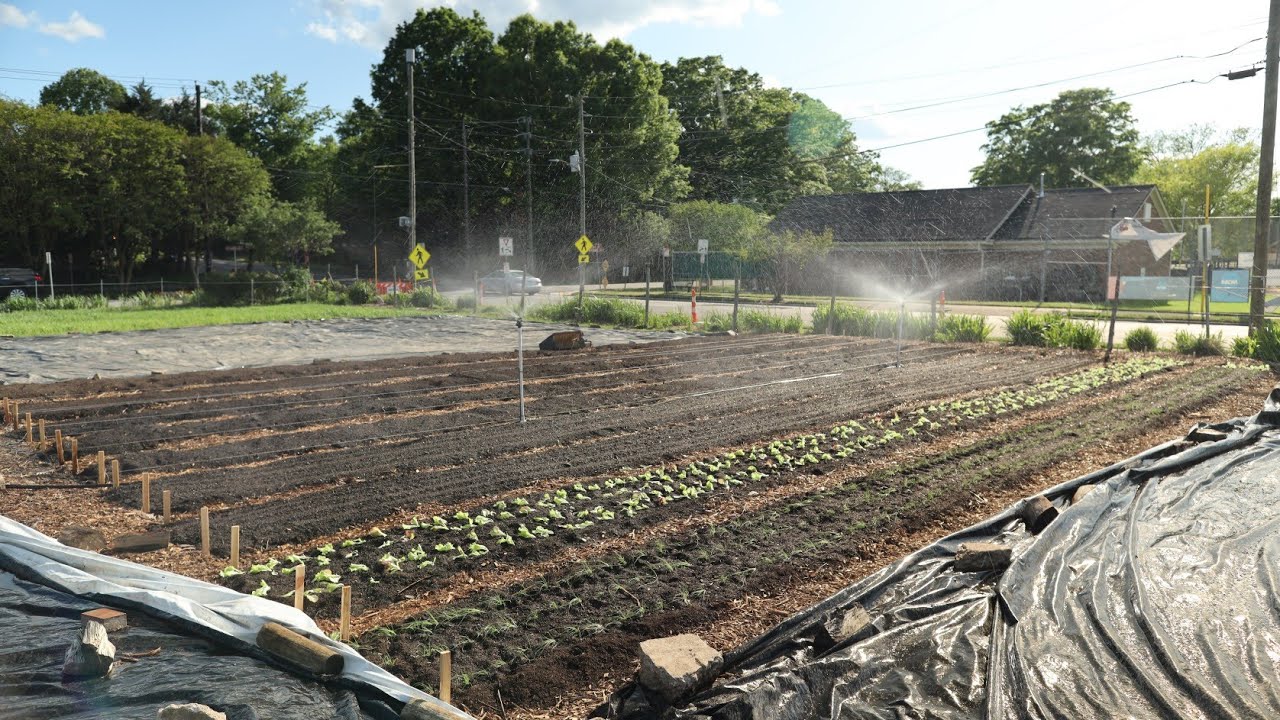 First Planting in the Field - YouTube