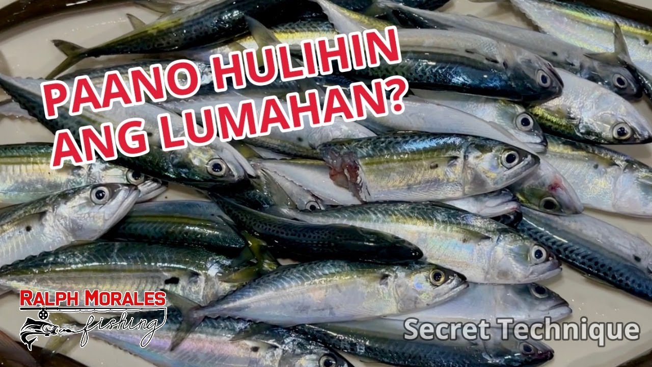 Paano Hulihin ang Lumahan? - YouTube