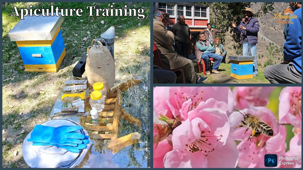 Beekeeping training in india | Madhumakhi palan | honey bee farming ...