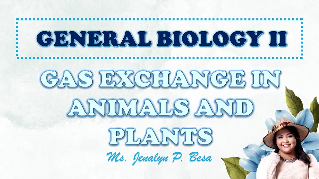 Gas Exchange in Plants and Animals (Tagalog and English) - YouTube