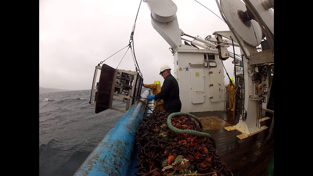 Raising the drop-down camera - YouTube