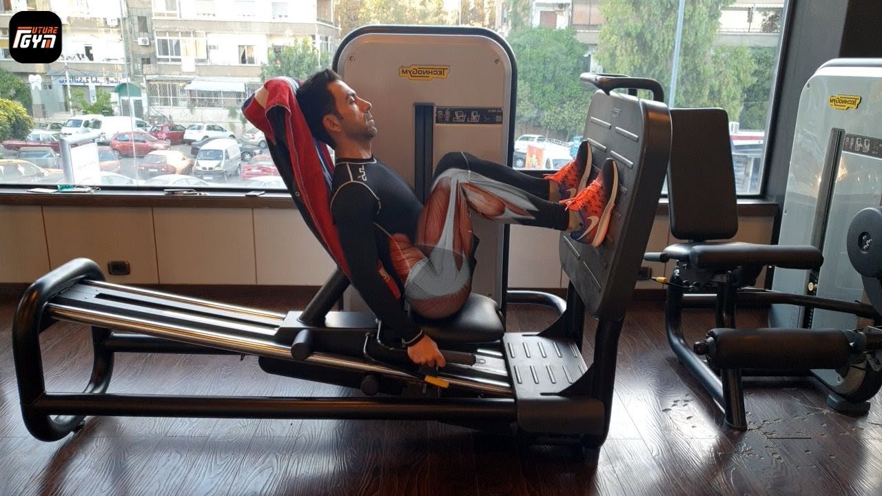 Seated Horizontal Leg Press - YouTube