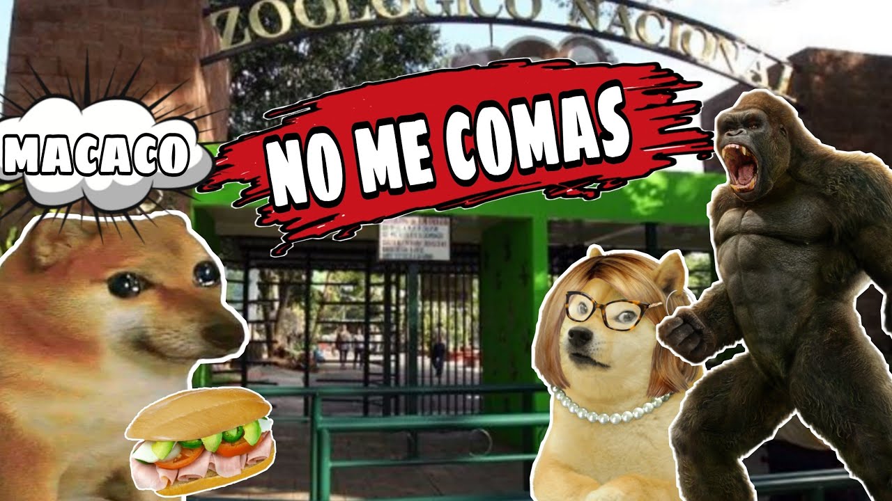 la rosa de cheems #2 madre con derecho me tira con un macaco / ABRO ...