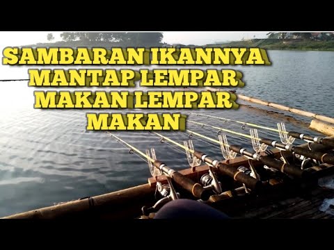 Mancing Jatiluhur Terbaru 2022 // Hampir setiap umpan yang baru di lempar langsung di sambar ...