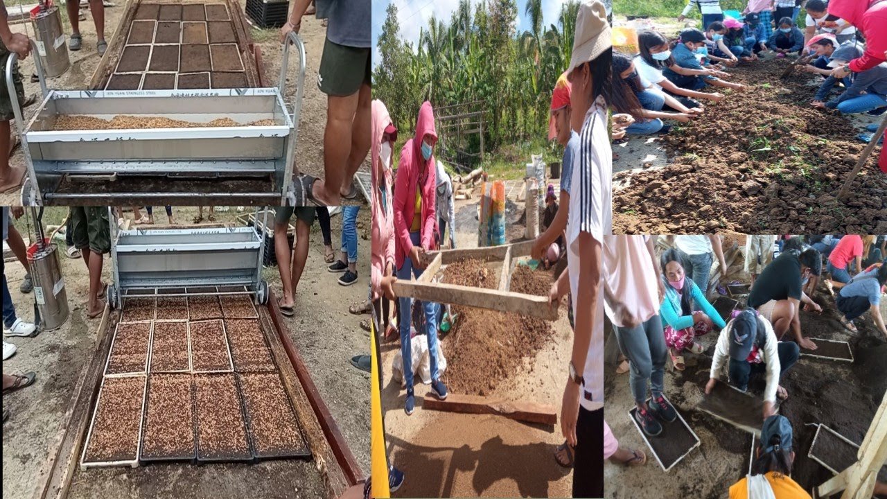 TESDA, Production on high quality inbreed rice, seed certification and ...