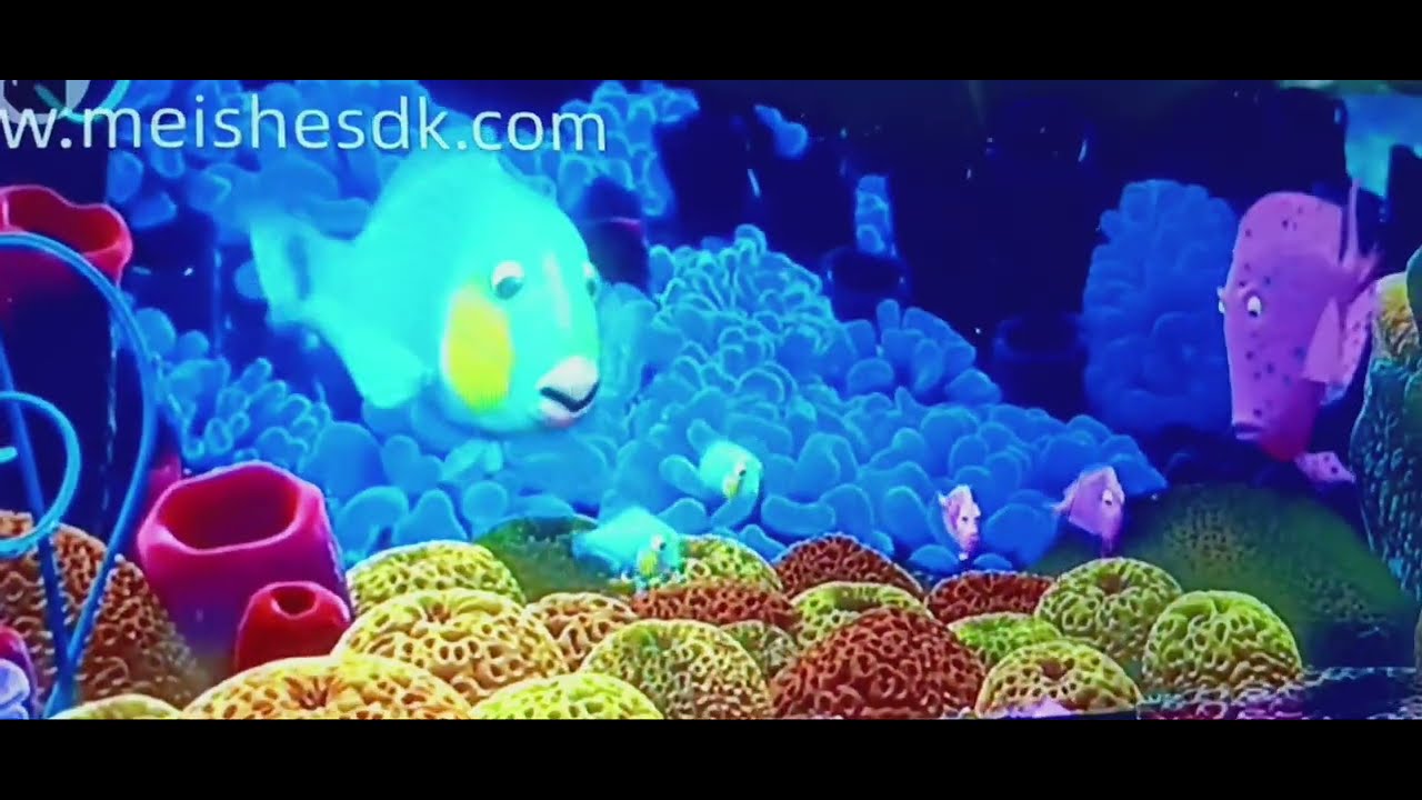Finding Nemo Sponge Beds (Spotlights.net) - YouTube