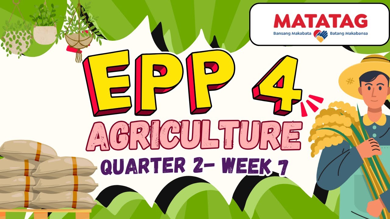 EPP 4- AFA- Quarter 2 Week 7-Mga Paraan ng Pag-aani, Pag-iimbak at ...