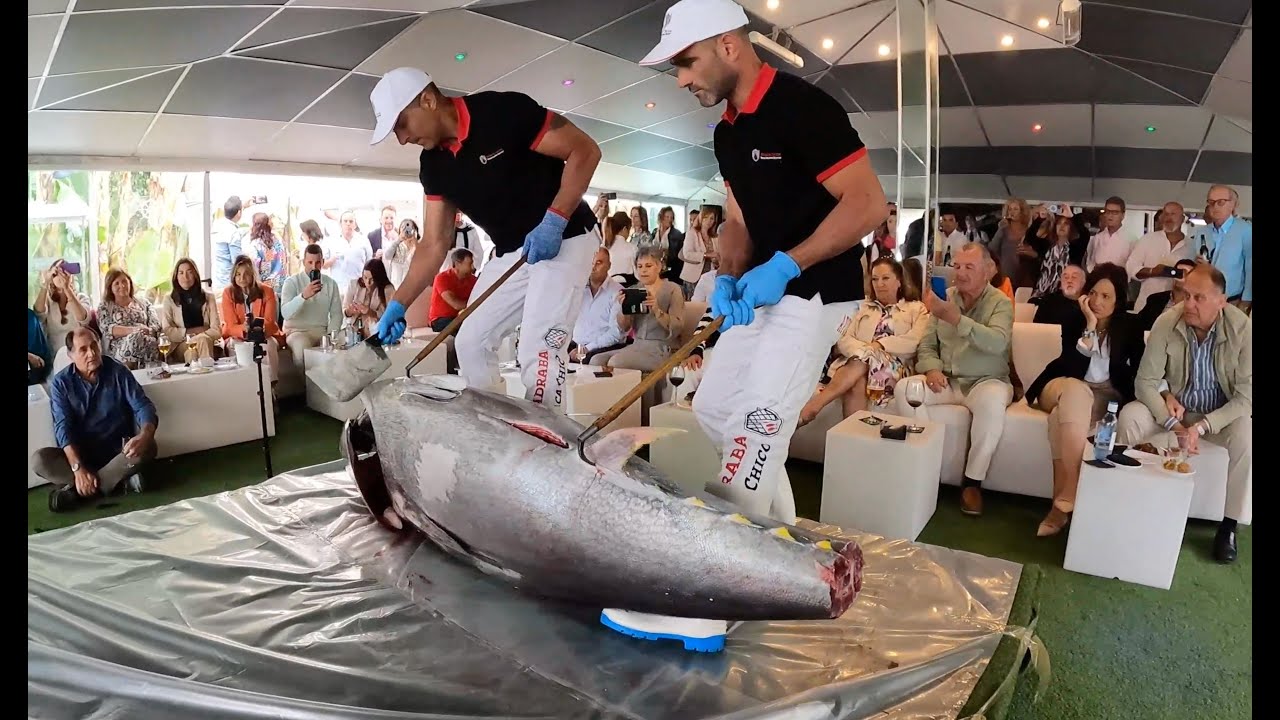 Ronqueo de atún en el restaurante Timón de Roche - YouTube