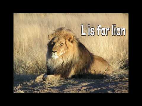 ABC Animals Ode To Joy My Version