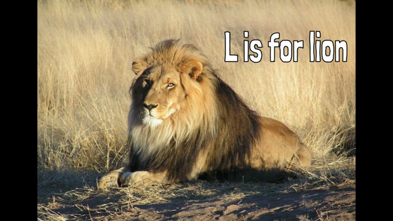 ABC Animals Ode To Joy My Version - YouTube