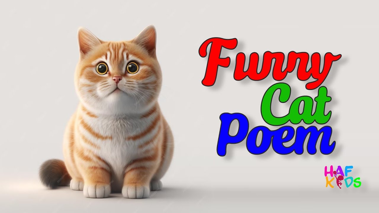 Cat Poem (FURRY CAT) Poem for Kids 🧒 - Class 1 Math | HAFKIDS - YouTube