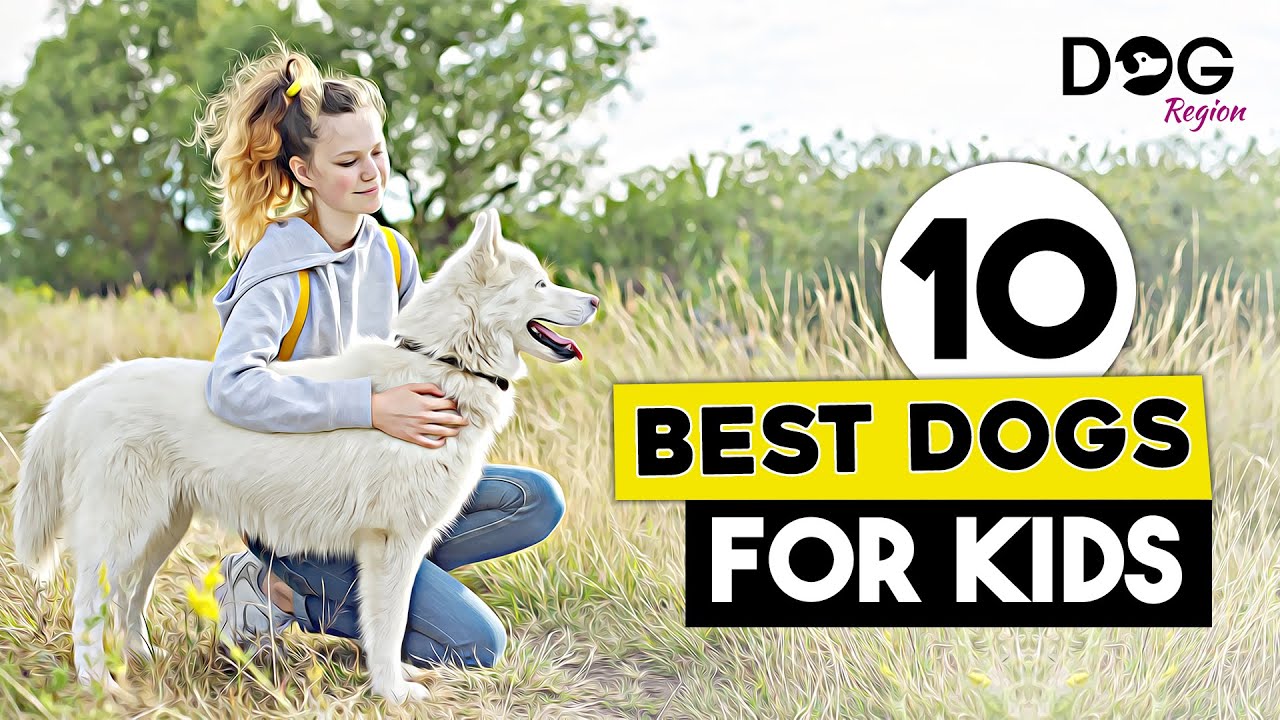 10 Best Dogs for Kids | Kids Friendly Dog Breeds - YouTube