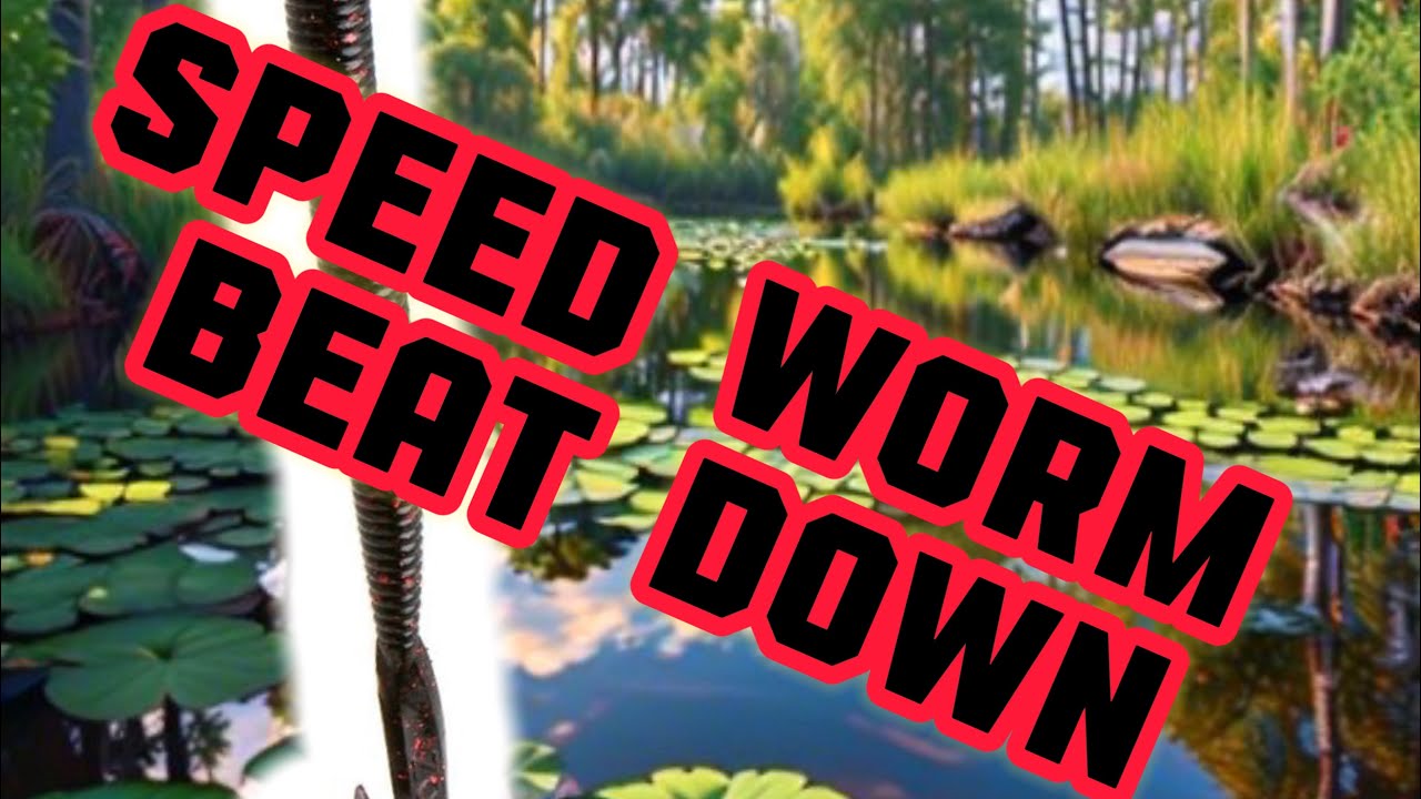 We put the speed worm to WORK - YouTube