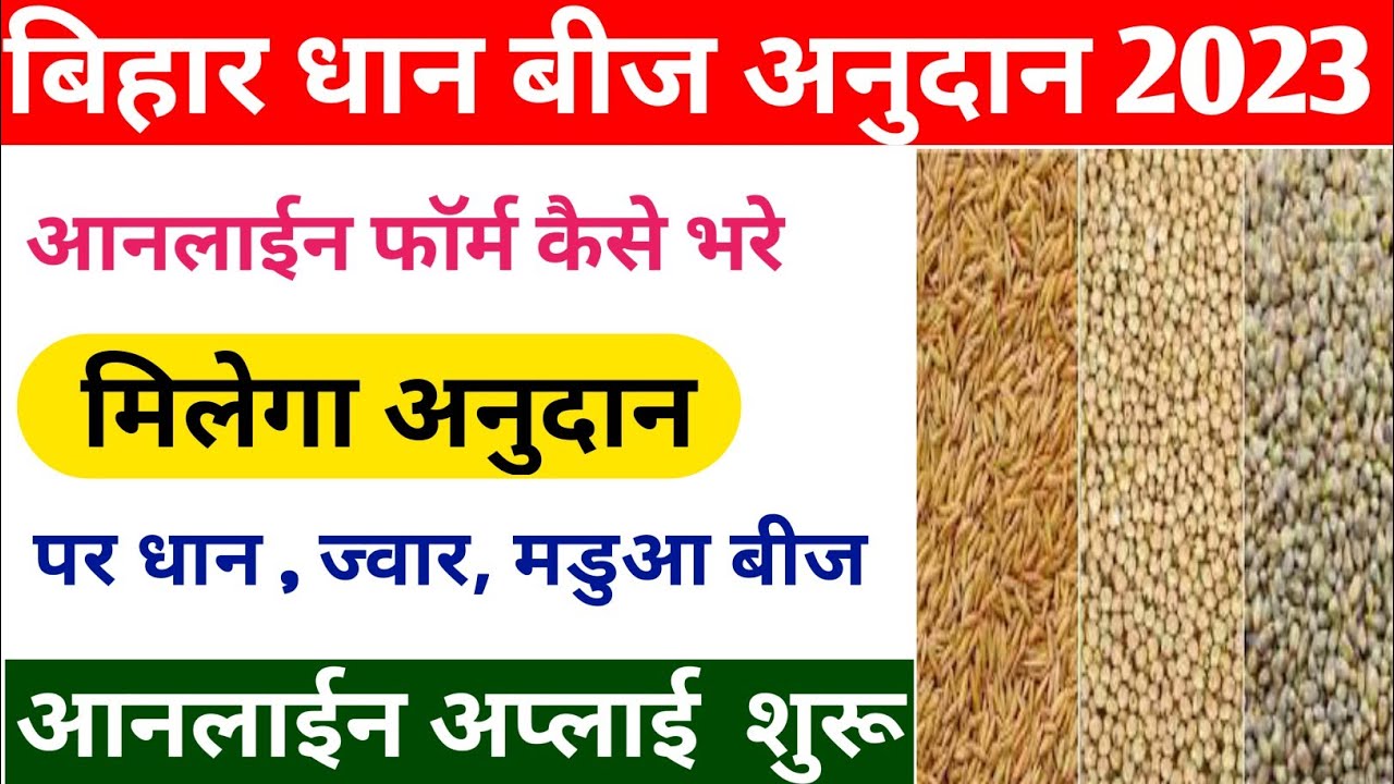 Bihar Dhan Beej Anudan 2023 Online Form Kaise Bhare 2023 |धान के बीज ...
