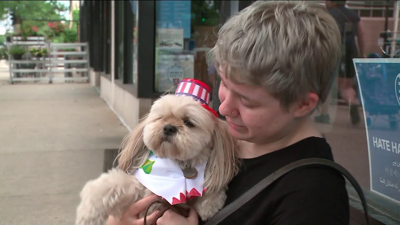 6 furry candidates in the running for Pet Mayor of Edgewater - YouTube