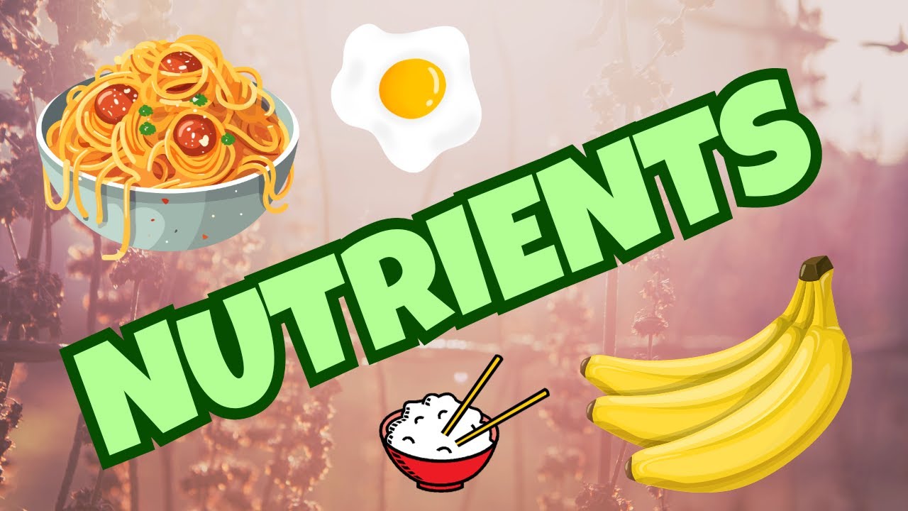 The ROLES of the Different NUTRIENTS of FOOD - Primary Education Grade ...