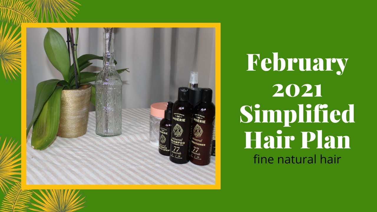 SIMPLIFIED Hair Plan for February 2021 | fine natural hair - YouTube