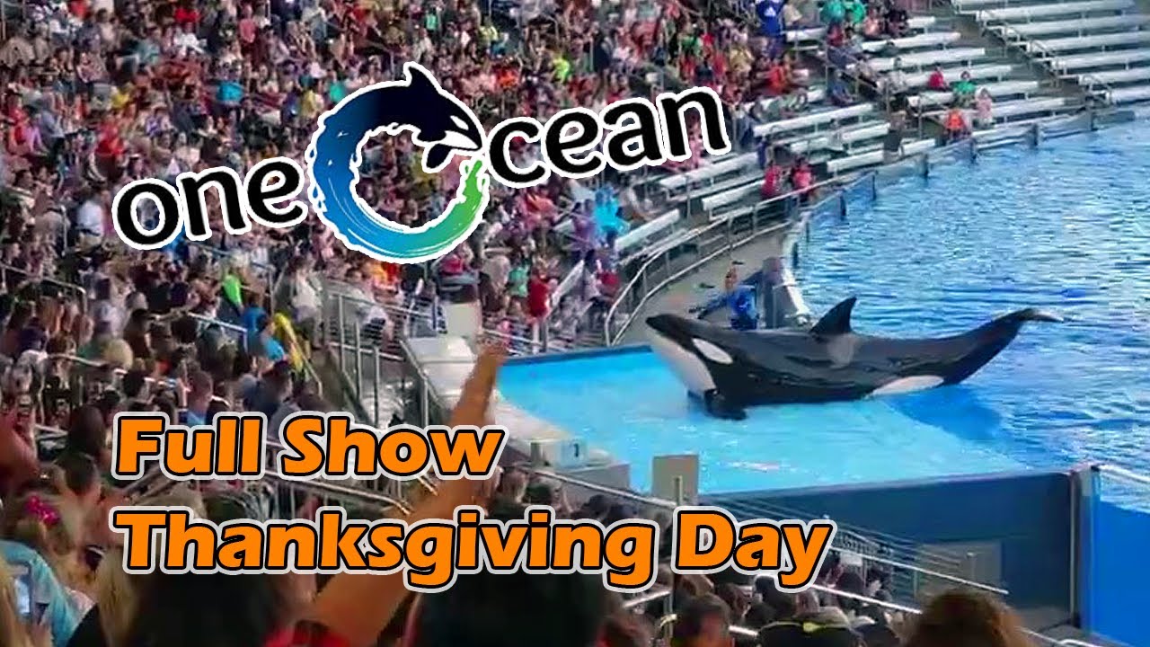 One Ocean Orca Show (Full Show HD) - SeaWorld Orlando - YouTube