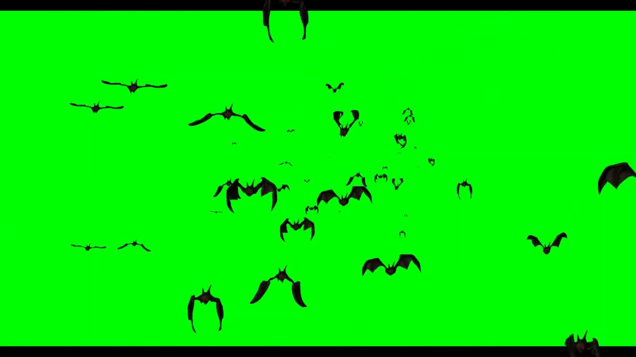 GREEN SCREEN VAMPIRE BAT | LINK IN DESCRIPTION | GAMER YT | - YouTube