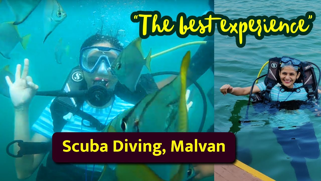 Scuba Diving | Underwater | Fish | Sarjekot Jetty | सर्जेकोट बंदर ...