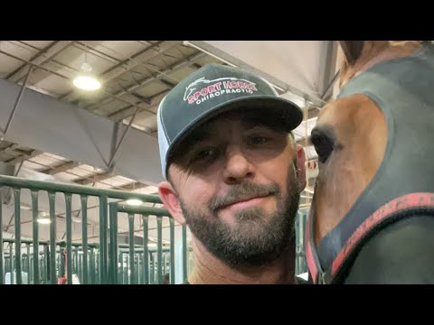 Sport Horse Chiropractic, Dr. Mike Adney is going live, adjusting Hank ...