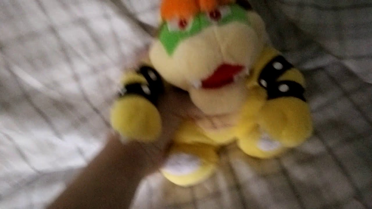 Bowser's Biggest Fear! - YouTube