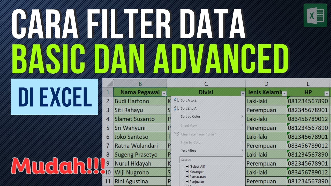 Cara Filter Data di Excel dengan Fitur Basic dan Advanced | Cara ...