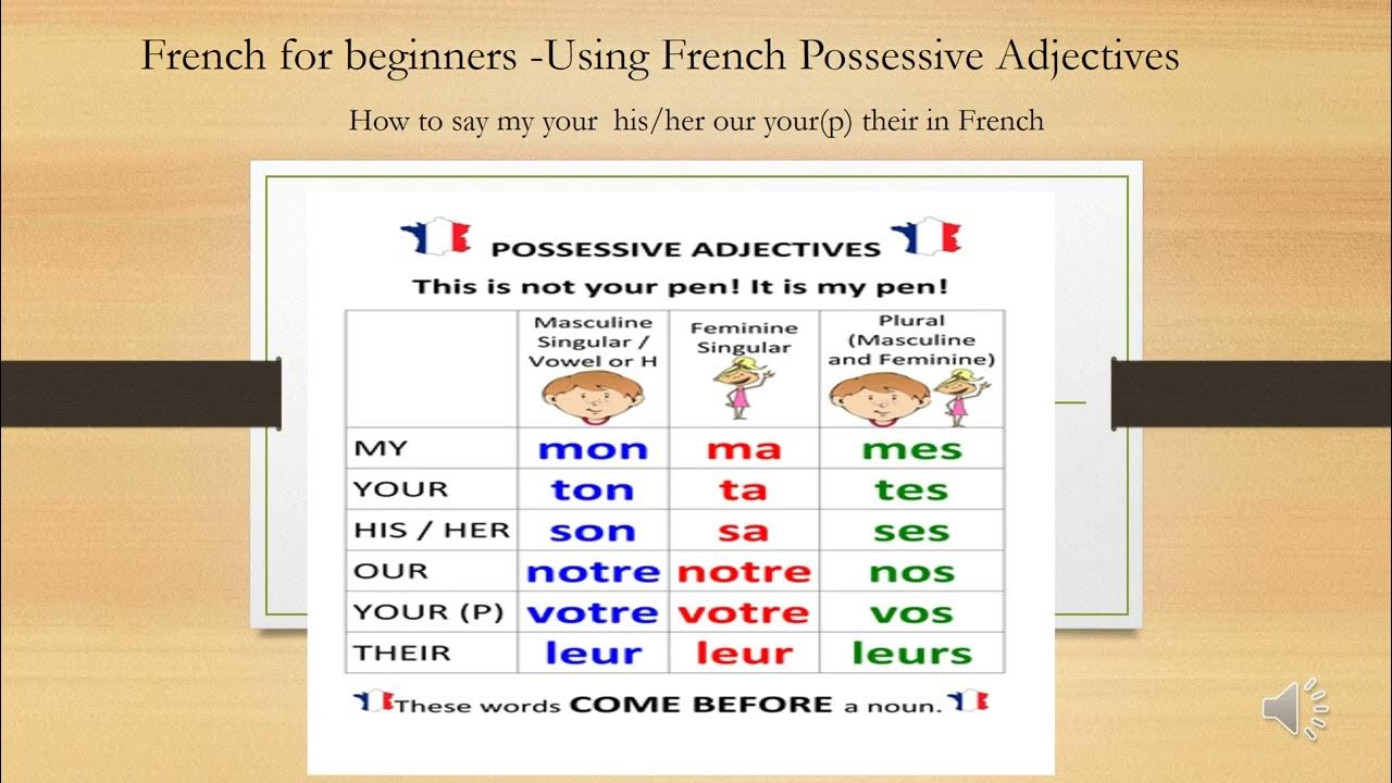 French for beginners lesson 8 (Possessive Adjectives (My, your, his/her ...