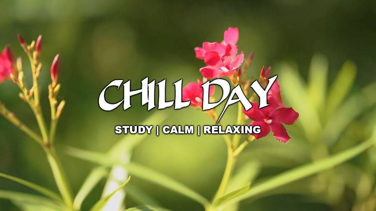 Light Music - uplifting, work music motivation, think, code, study ...