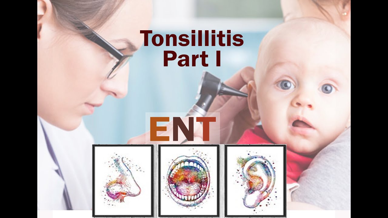 ENT | Pharynx | Tonsillitis #1 - YouTube