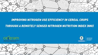 Improving Nitrogen Use Efficiency in Cereal Crops through a Remotely Sensed NNI