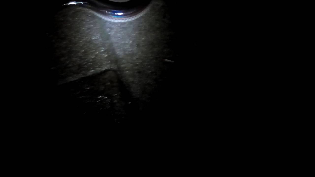 Ular Pelangi\ Wlingi (Xenopeltis unicolor), - YouTube